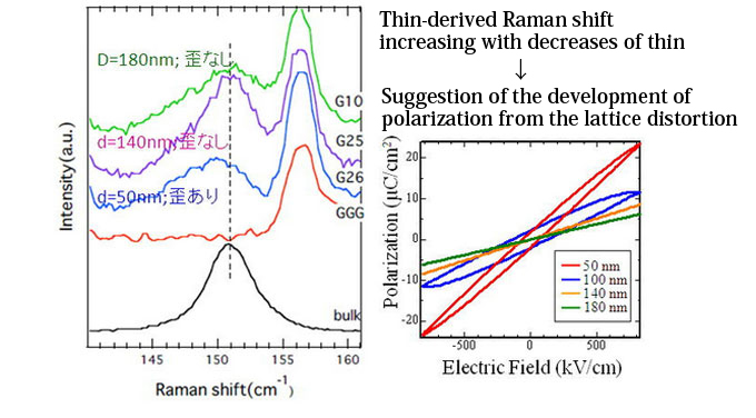 Functional Fusogenic Form Ferroic Material～Working for construction of ...