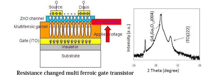 Functional Fusogenic Form Ferroic Material～Working for construction of ...