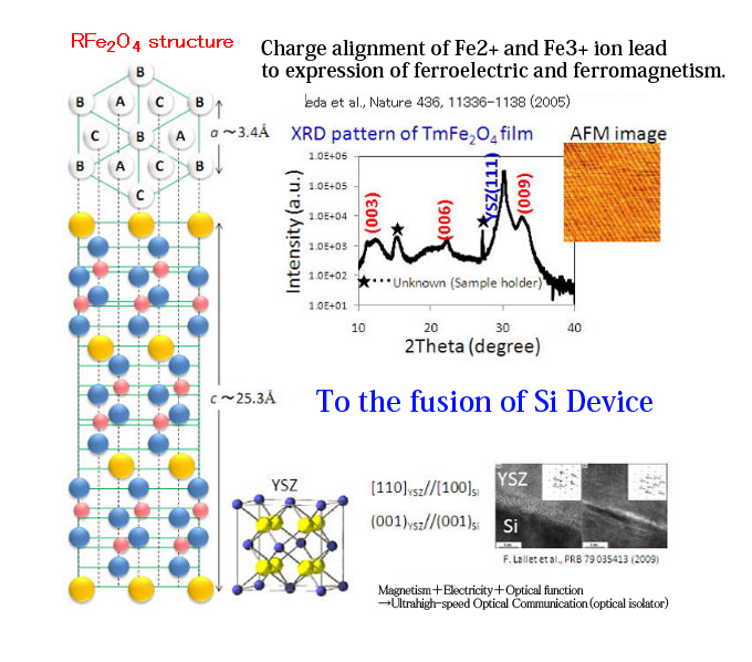 Functional Fusogenic Form Ferroic Material～Working for construction of ...