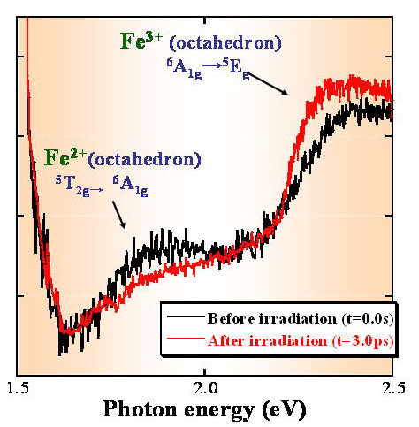 Artificial Biological Infomation Nanomaterial～New Physicality Weaved ...